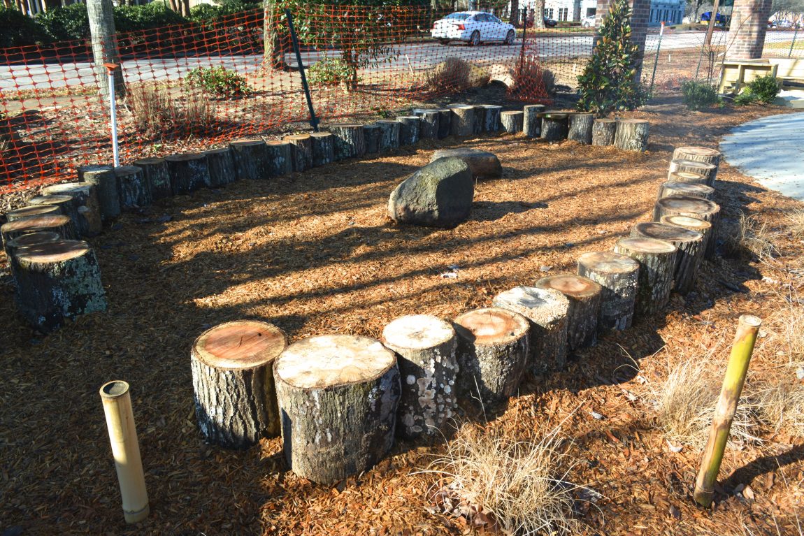 An Inspired Garden: A New Outdoor Learning Environment opens at the St ...