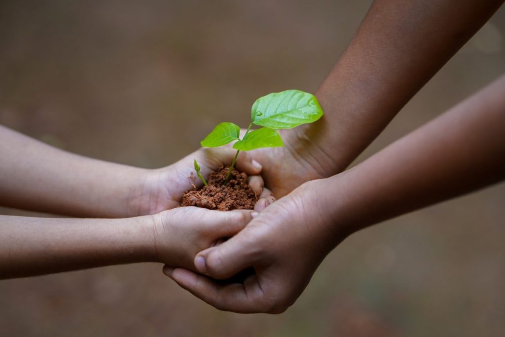 2024 Pledge Form - St. John’s Lutheran Church